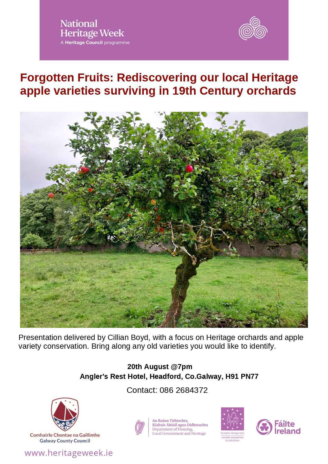 Forgotten Fruits; Rediscovering our local Heritage apple varieties ...