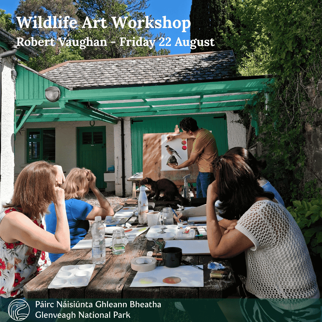 Wildlife Art Workshop by Robert Vaughan | National Heritage Week 15th ...