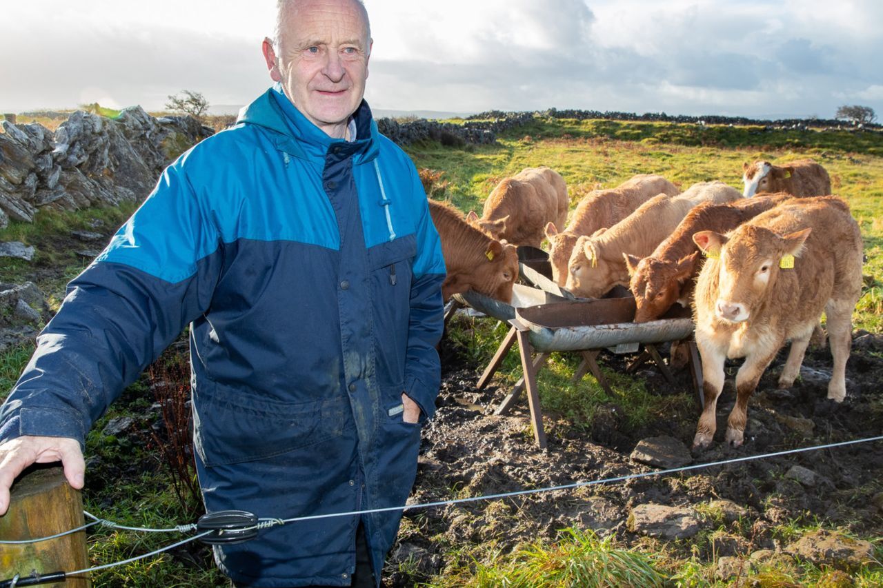 Farming and the Burren – from 4000 BC to the future | National Heritage ...
