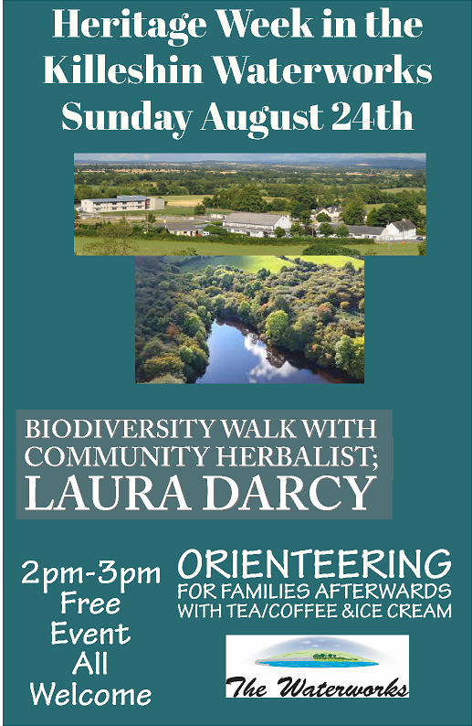 Family Fun at the Waterworks Killeshin | National Heritage Week 16th ...