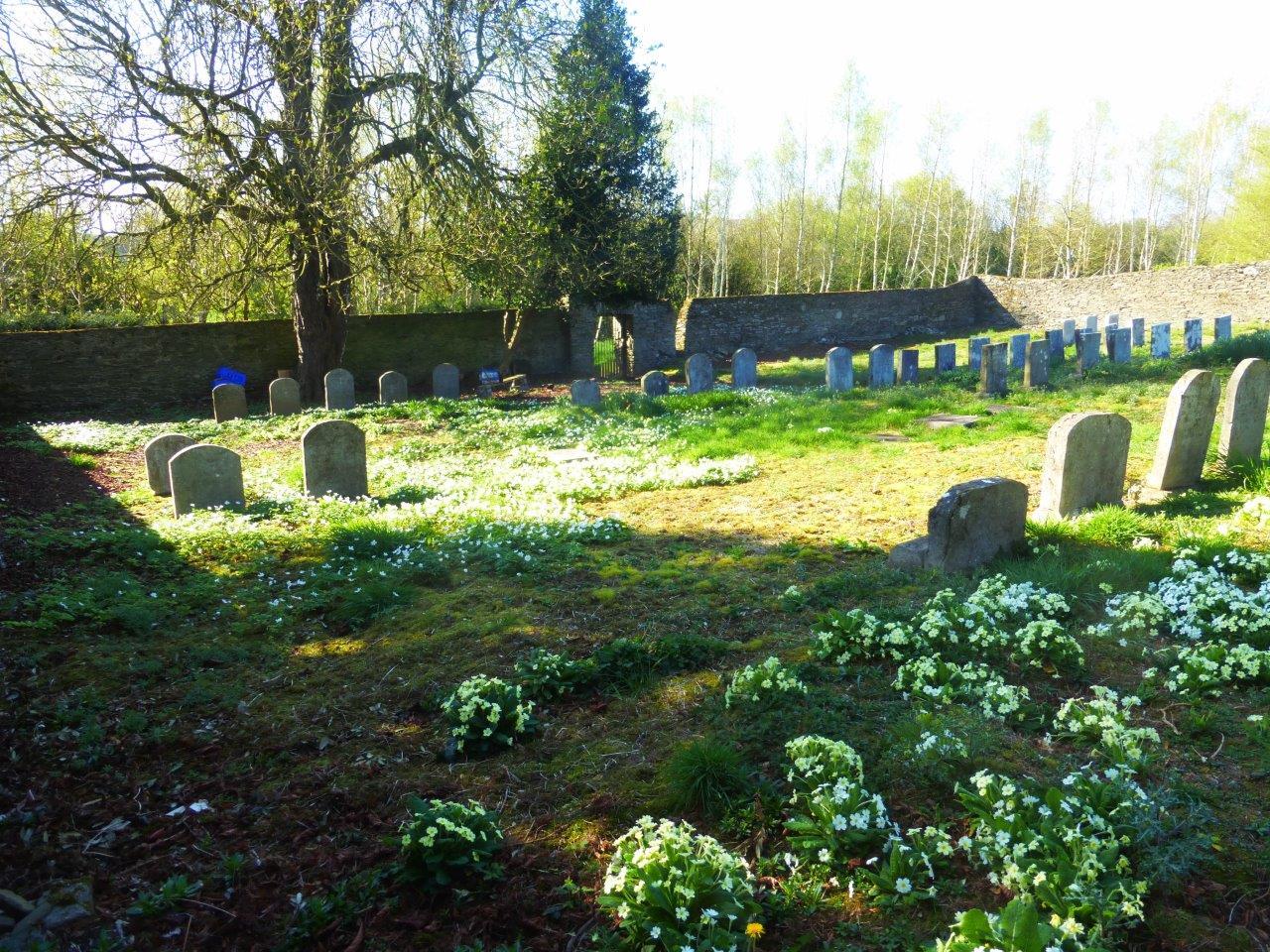 Tour of Ballitore Quaker Burial Ground | National Heritage Week 16th ...
