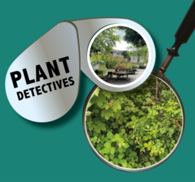 Plant Detectives: Family Trail | National Heritage Week 17th – 25th ...