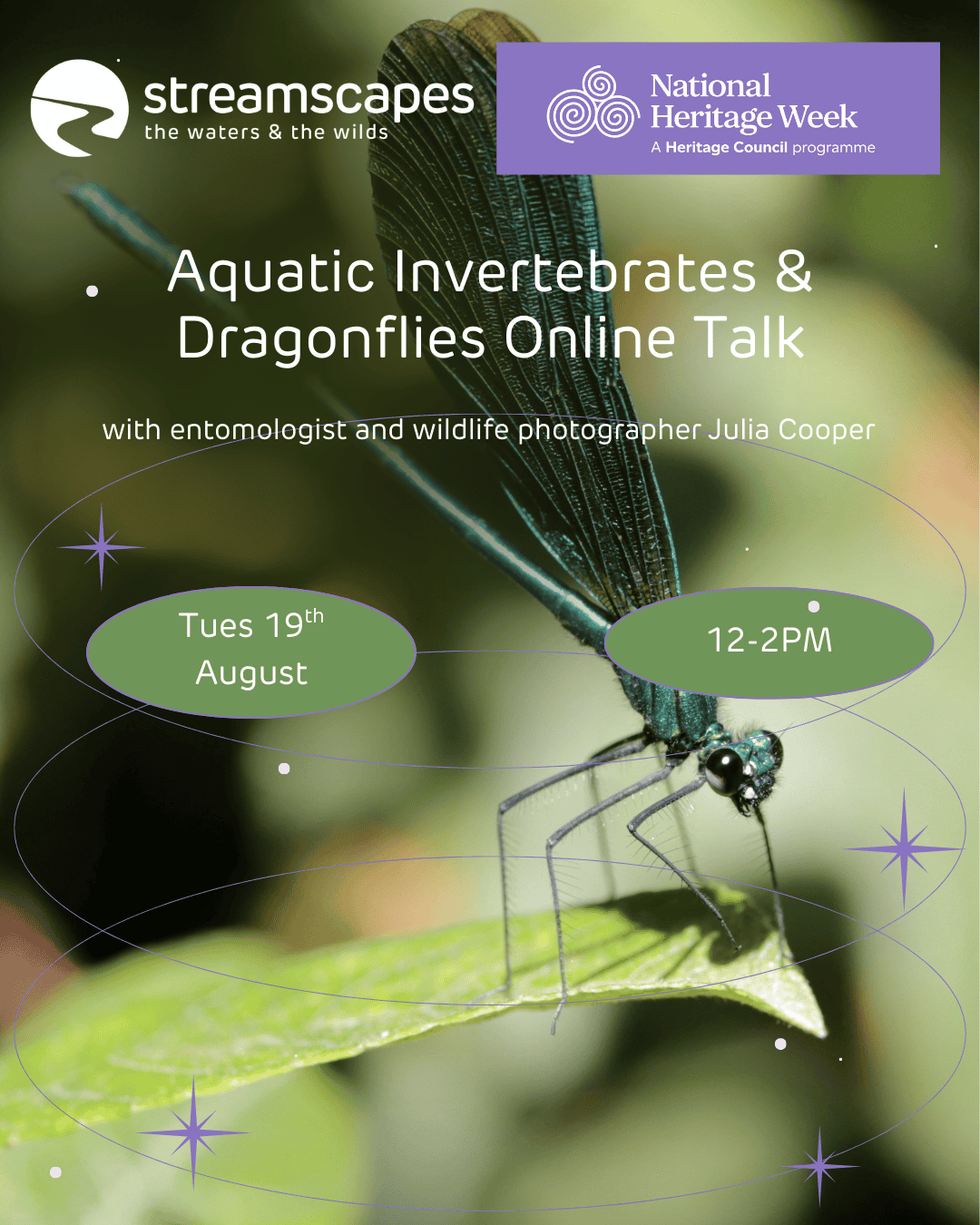 Lunchtime Talk: Aquatic Invertebrates & Dragonflies | National Heritage ...