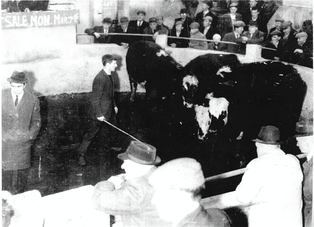 Moate Mart - Photographs and Paraphernalia | Seachtain Náisiúnta na ...