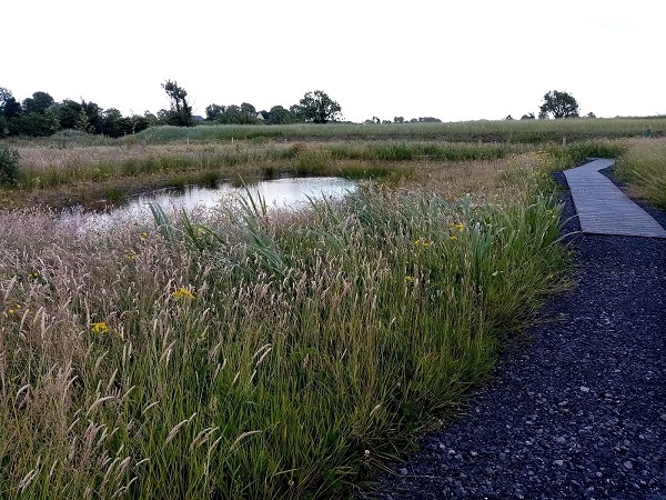 Nature Walk around Bohola Community Park | Seachtain Náisiúnta na ...